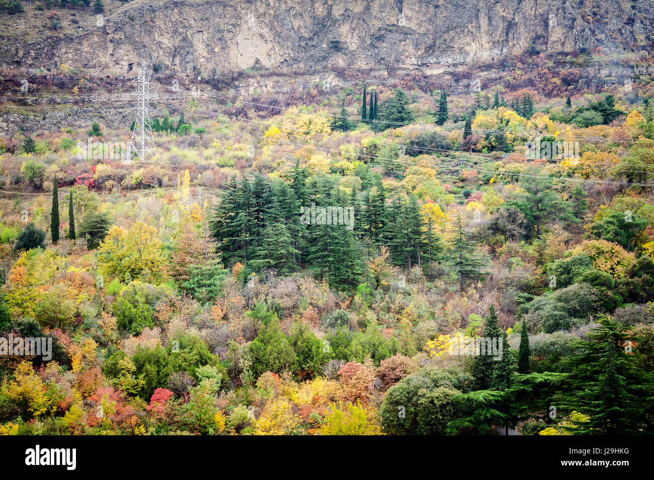 Tbilisi forest hi-res stock photography and images - Alamy