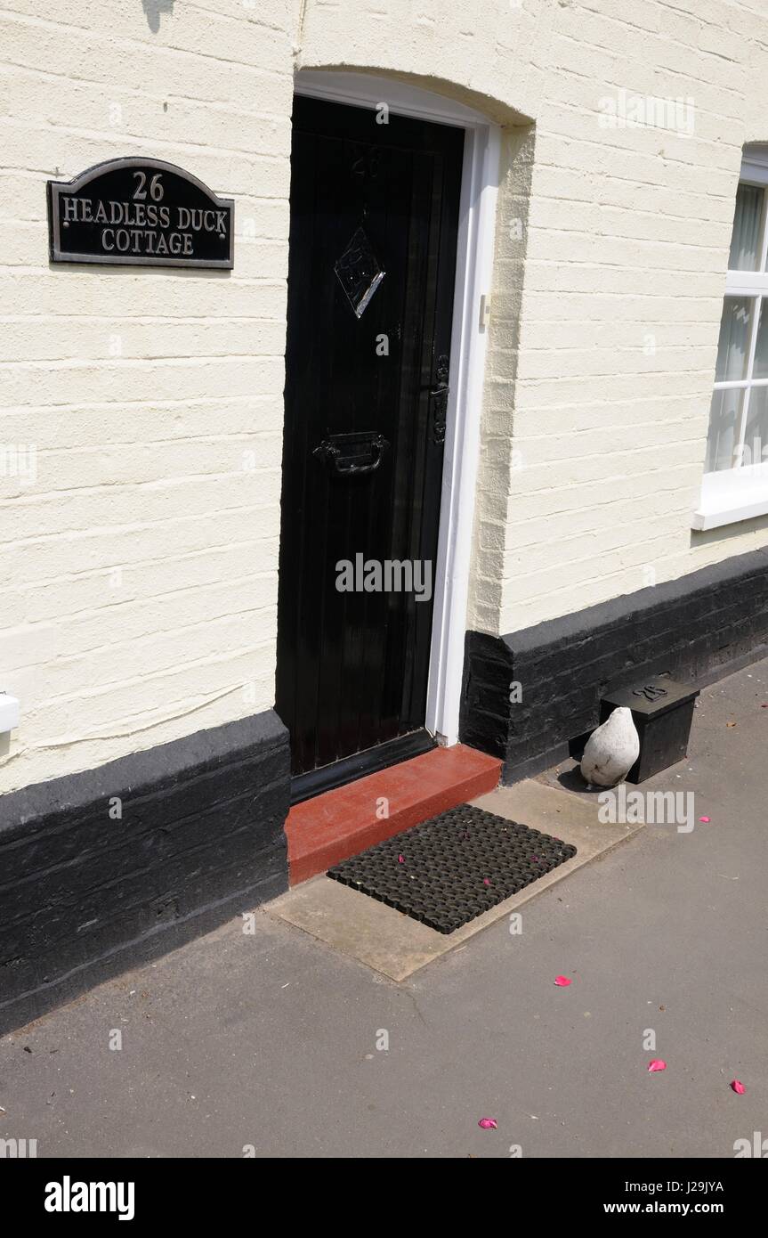 Headless duck hi-res stock photography and images - Alamy