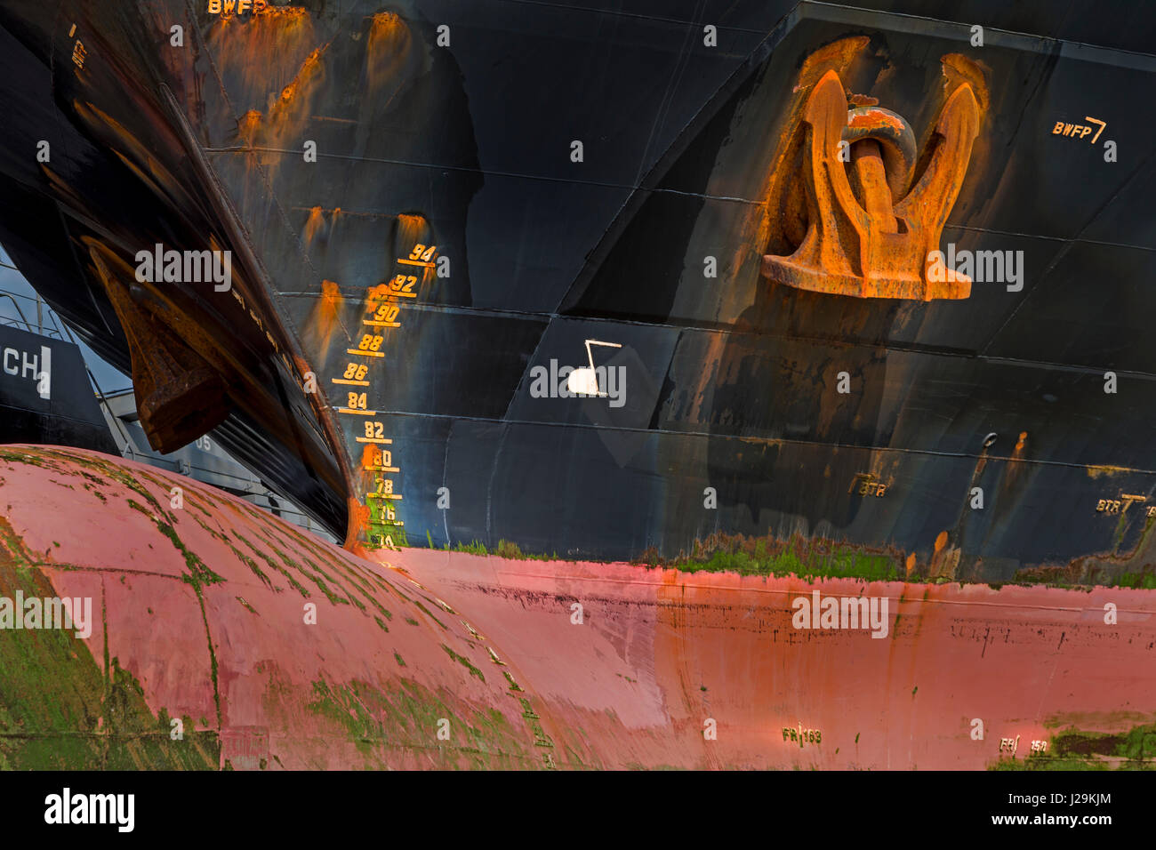 Bow of a container ship, Hamburg harbor, Hamburg, Germany, Europe Stock ...