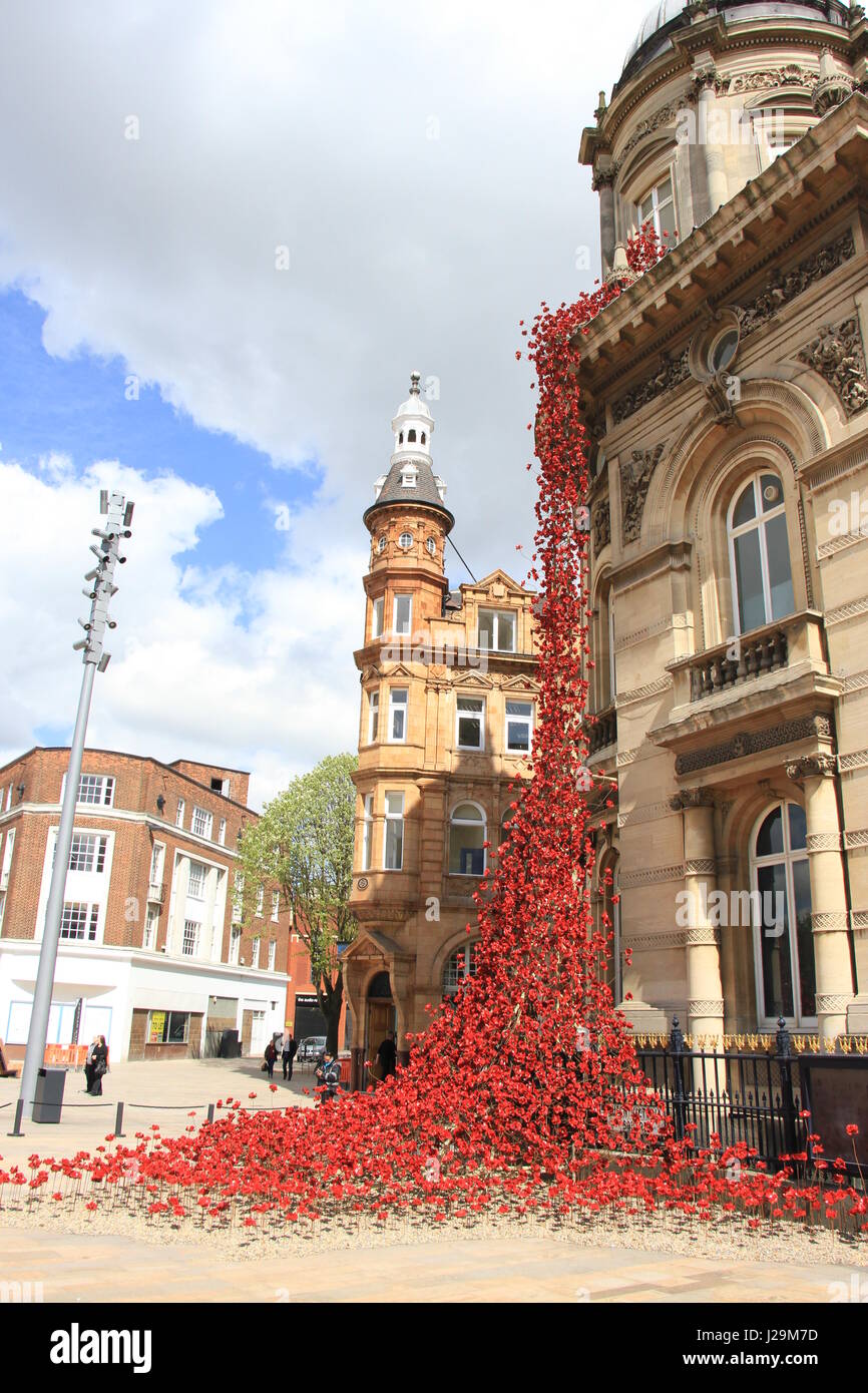 Poppies: Weeping Window Stock Photo - Alamy