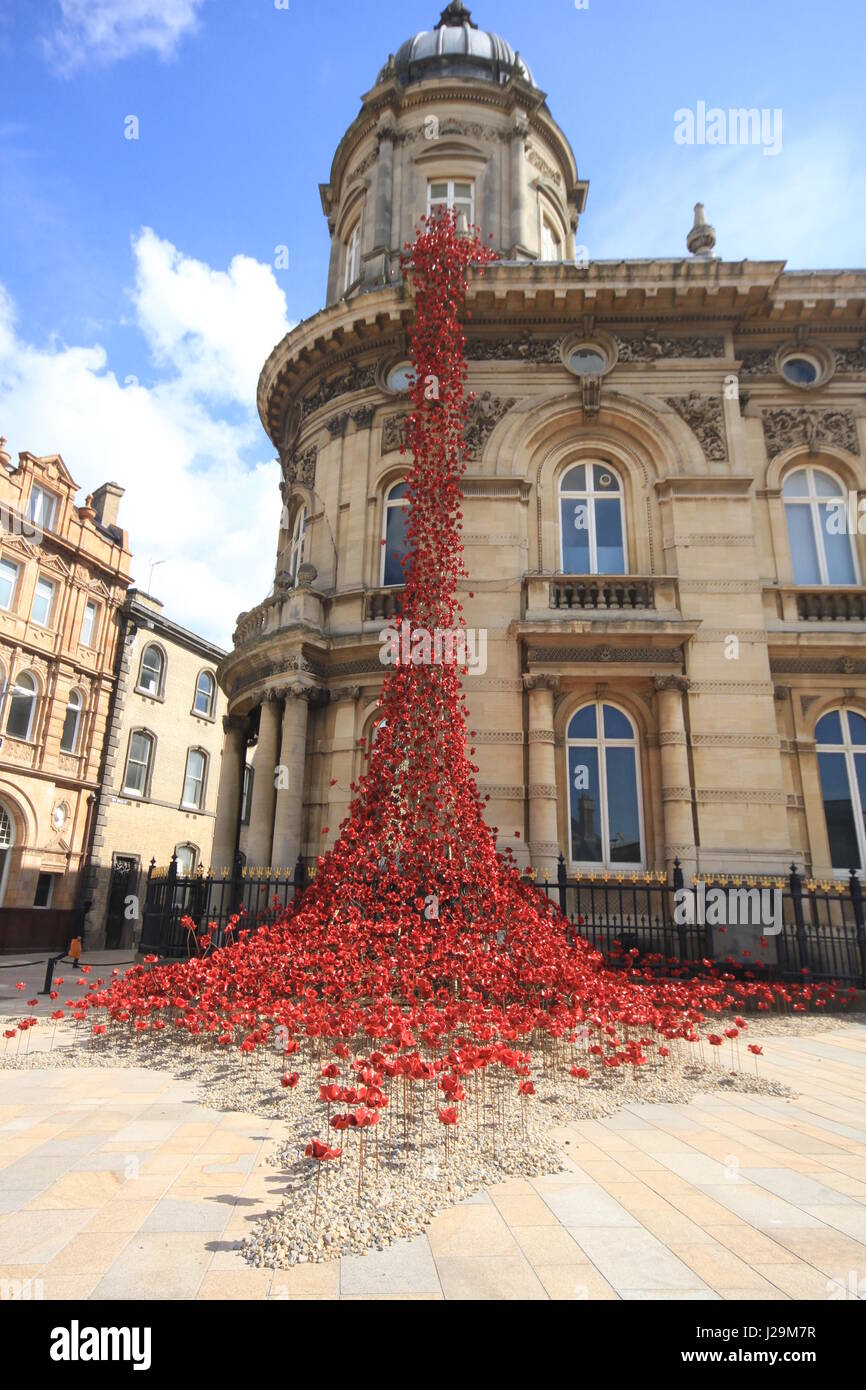 Weeping window hull hi-res stock photography and images - Alamy