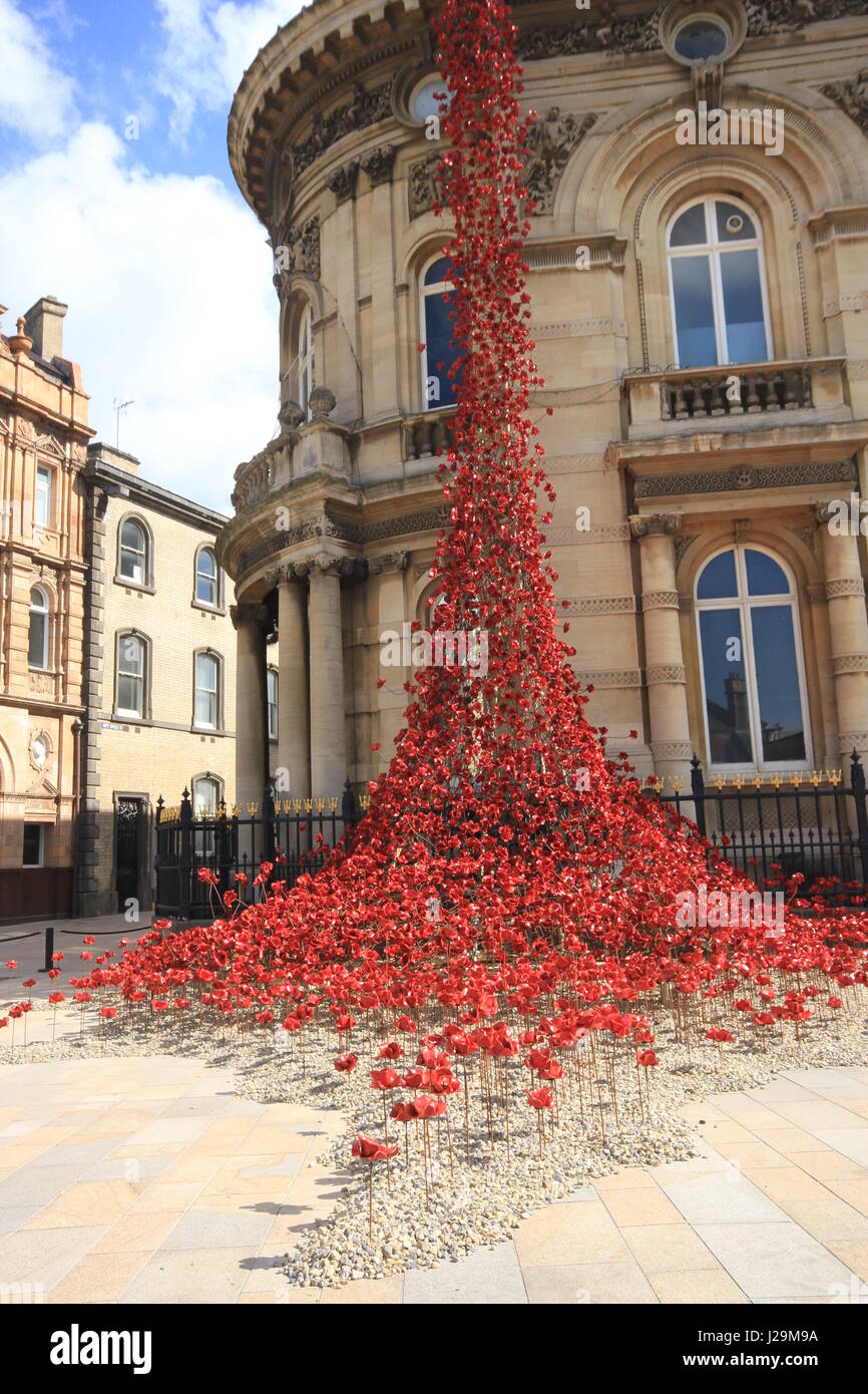 Weeping window hull hi-res stock photography and images - Alamy