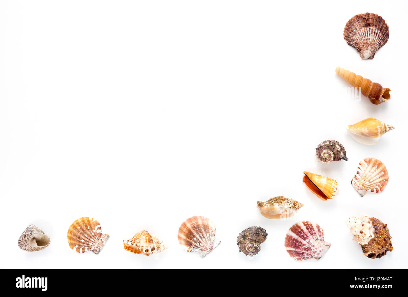 Half the frame hi-res stock photography and images - Alamy