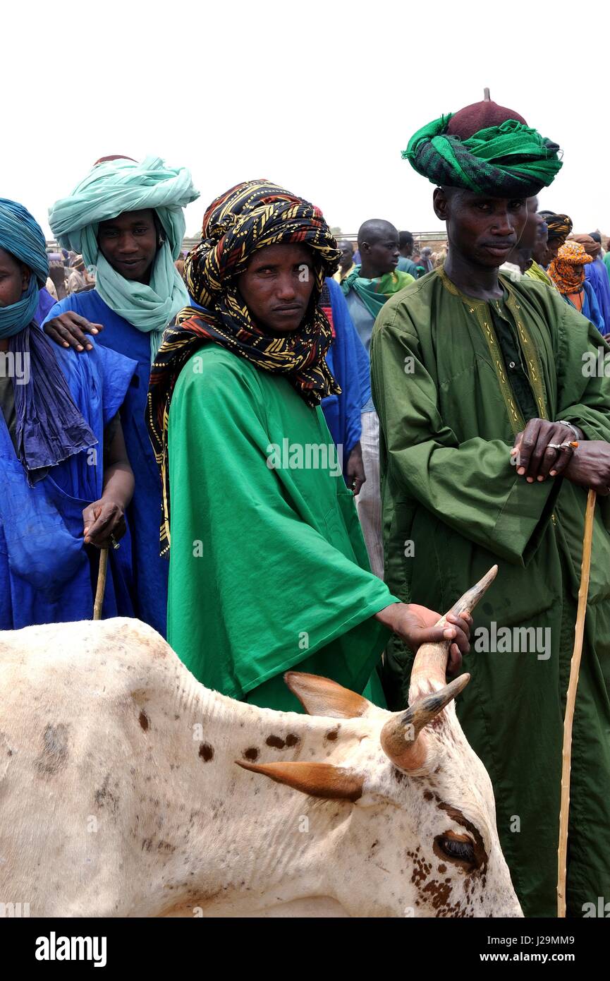 Mali, big Sunday livestock market in Niono, Peuhls coming to sail and ...