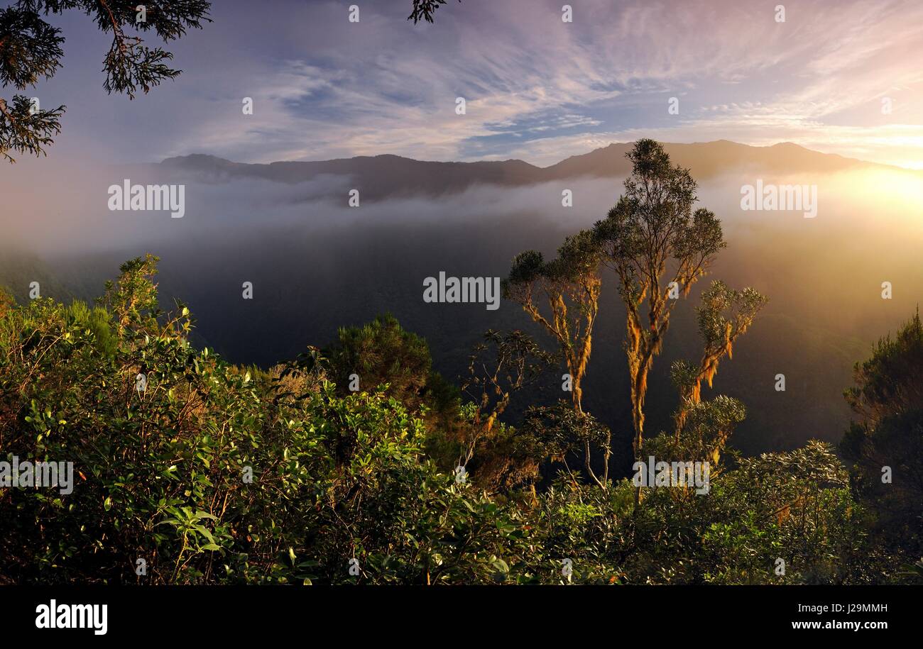 Reunion island, sunset in the hills above Saint-Denis Stock Photo - Alamy