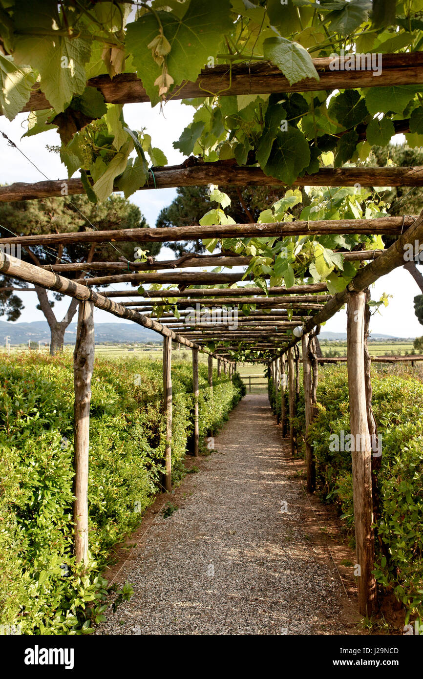 Arbour italy hi-res stock photography and images - Alamy