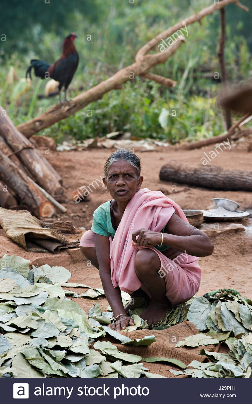 Indian Woman Tobacco Stock Photos & Indian Woman Tobacco Stock Images ...