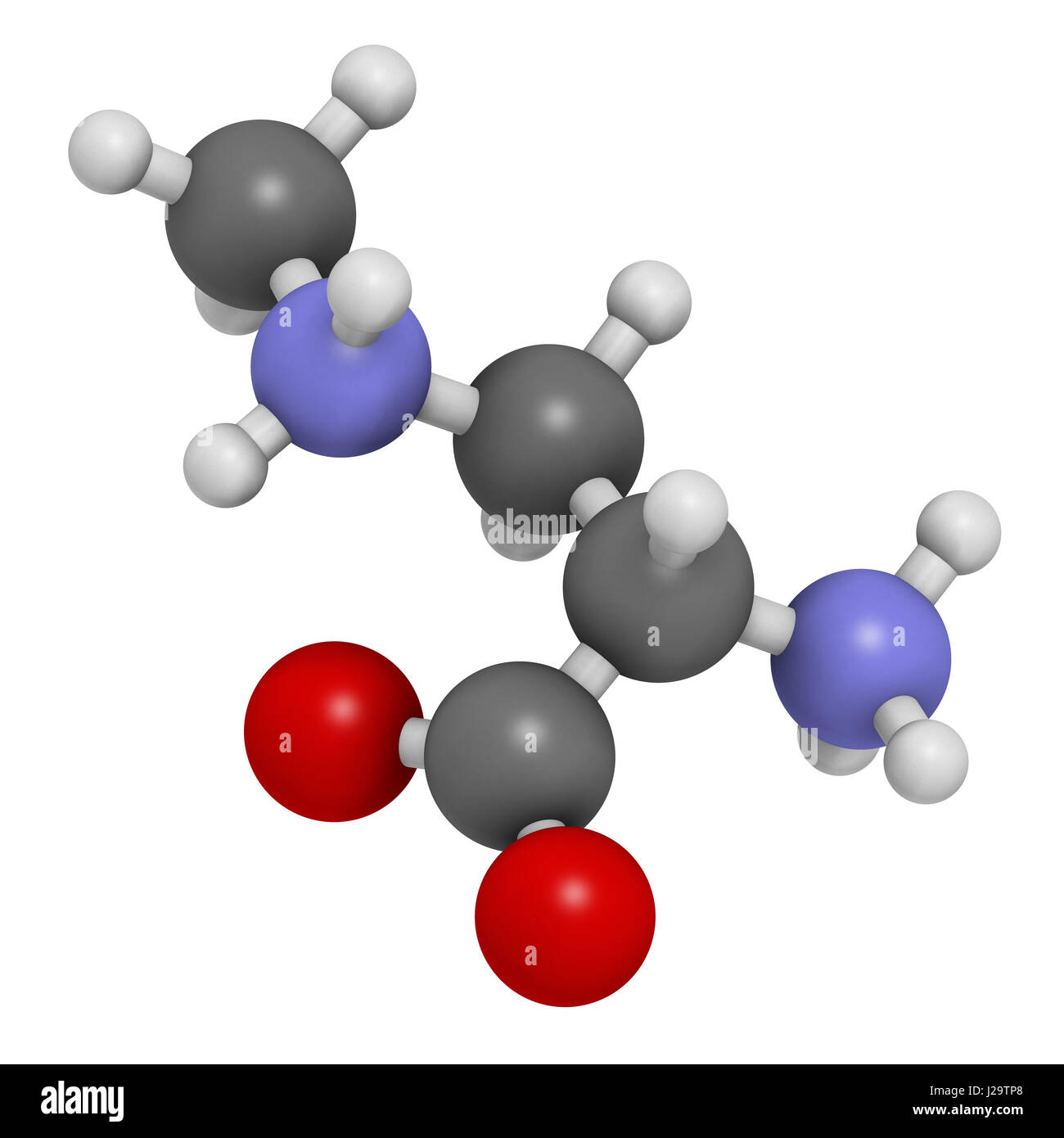 beta-Methylamino-L-alanine (BMAA) toxic amino acid molecule. Produced ...