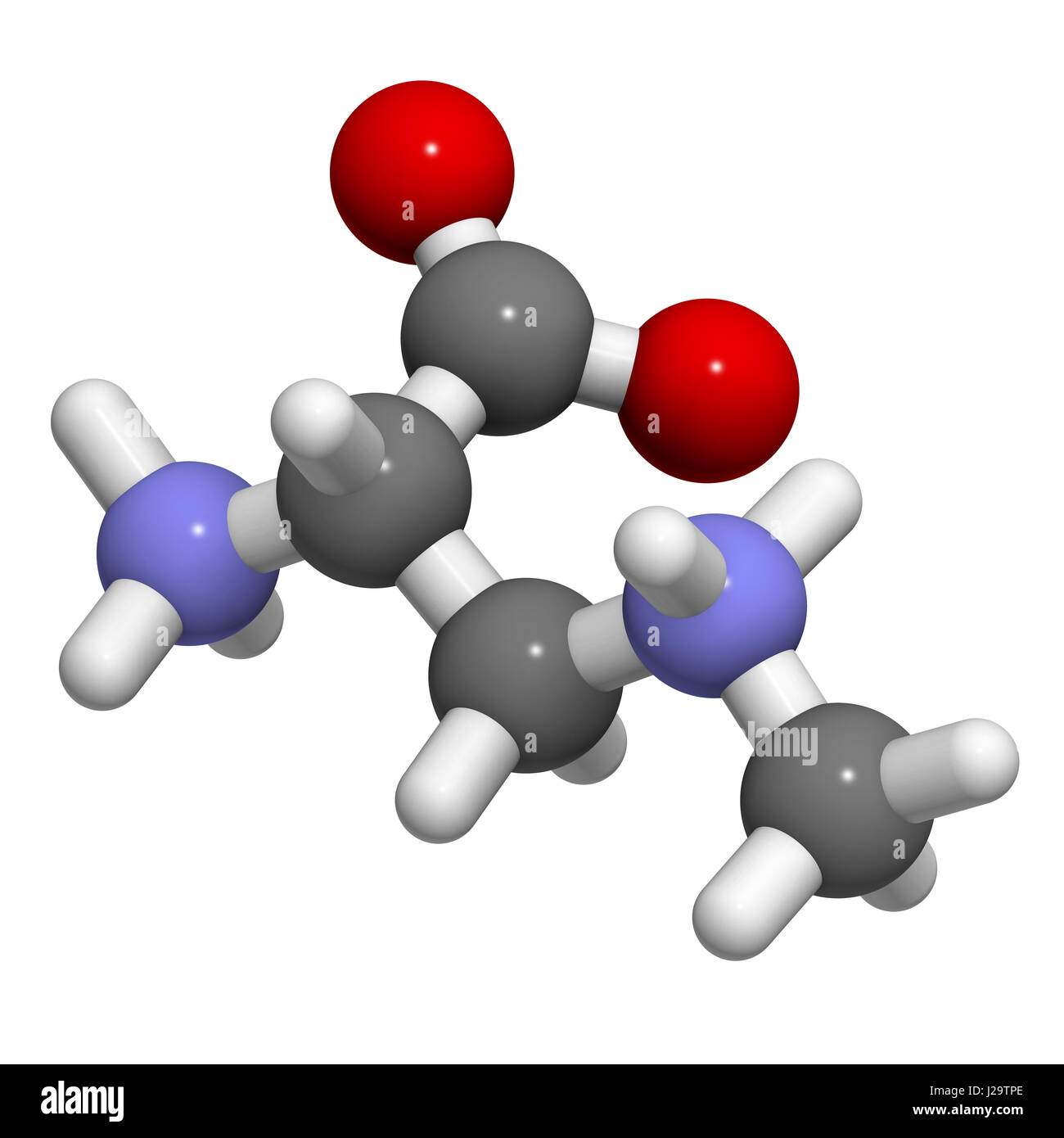 3d Model Molecule Amino Acid Stock Photos & 3d Model Molecule Amino ...