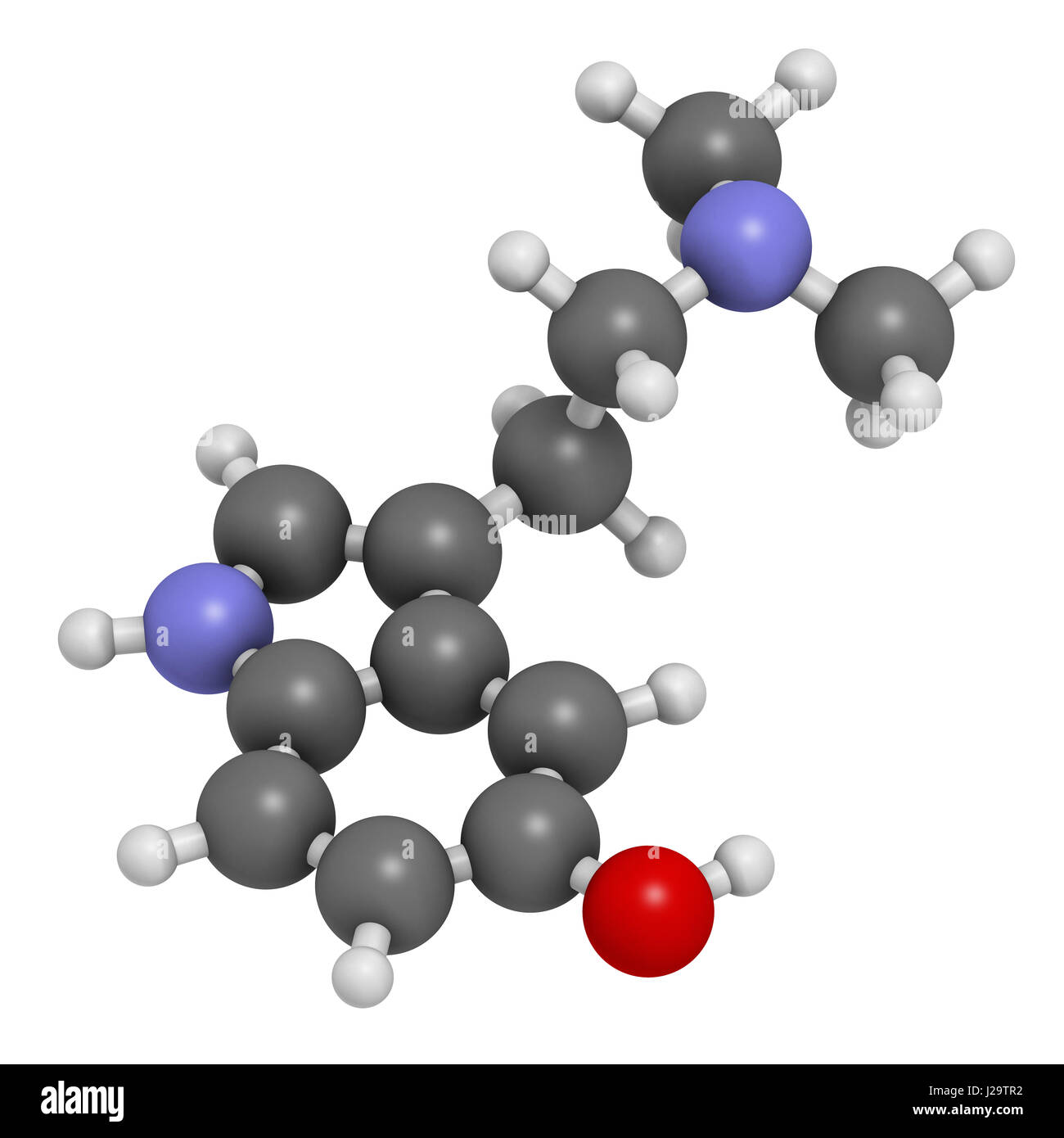 Bufotoxin hi-res stock photography and images - Alamy