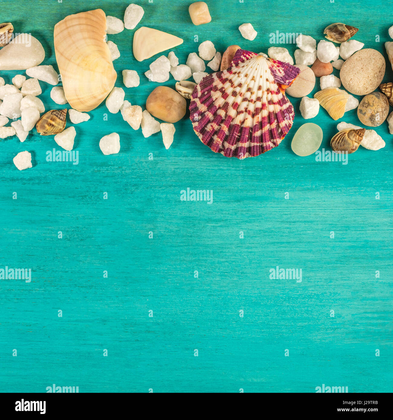 Shells and pebbles on turquoise background with copyspace Stock Photo ...