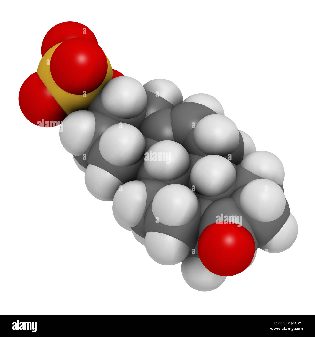Dehydroepiandrosterone sulfate (DHEA-S) natural hormone molecule. 3D ...