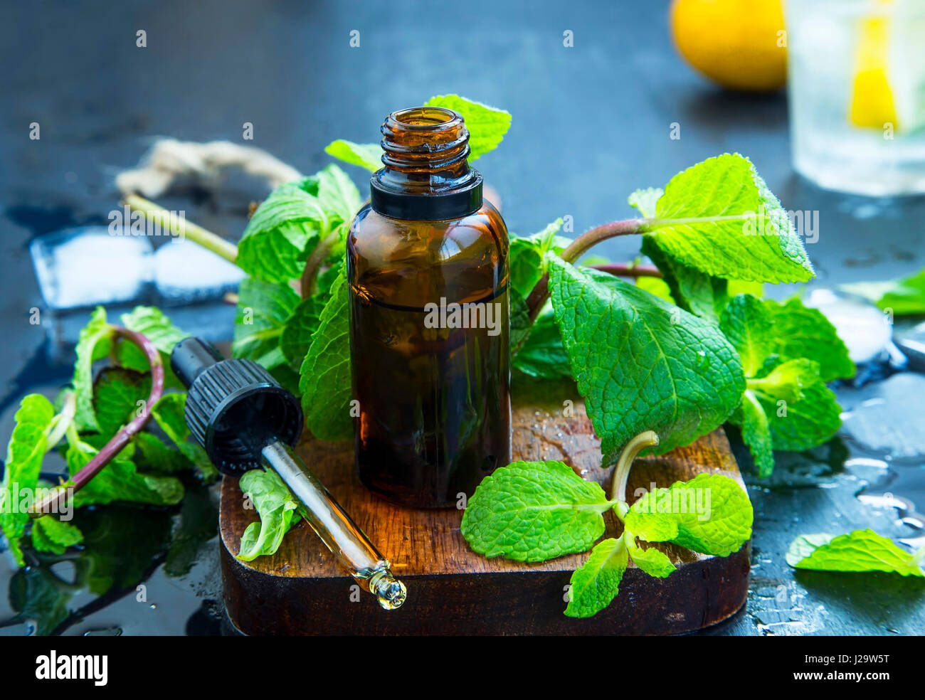 Mint essential oil in bottle .Fresh peppermint leaves with essential ...