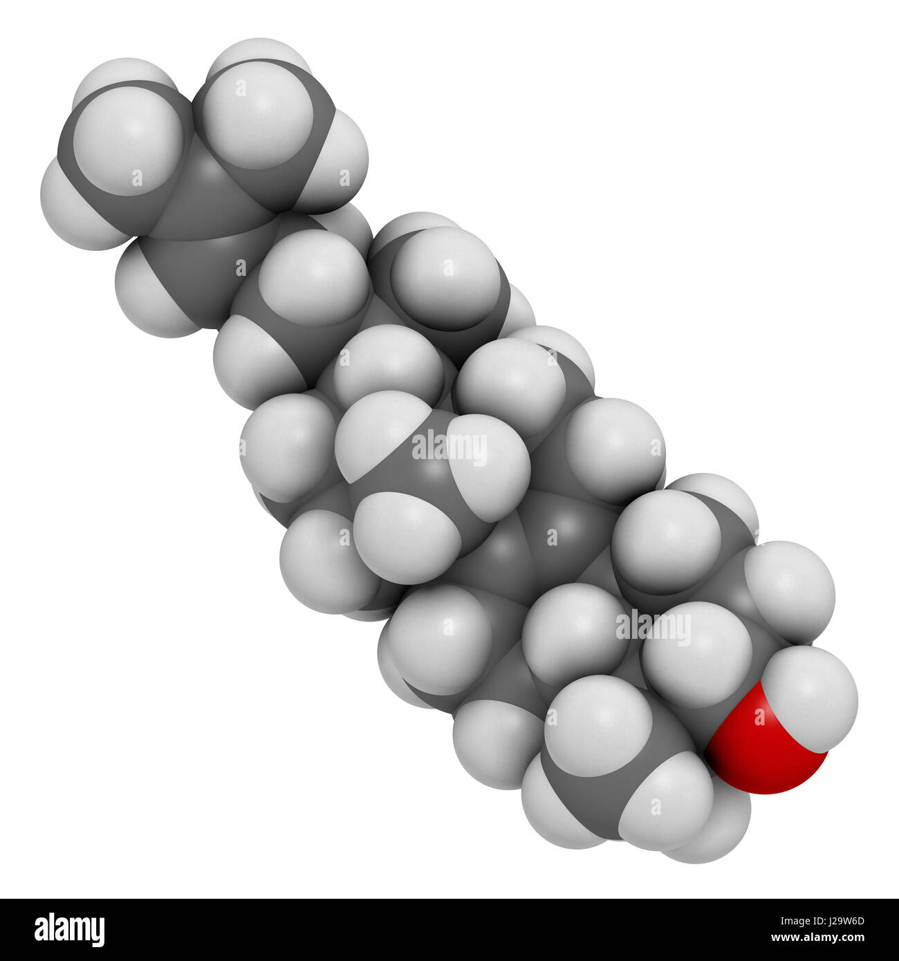 Lanosterol molecule. Investigated for treatment of cataract. 3D ...