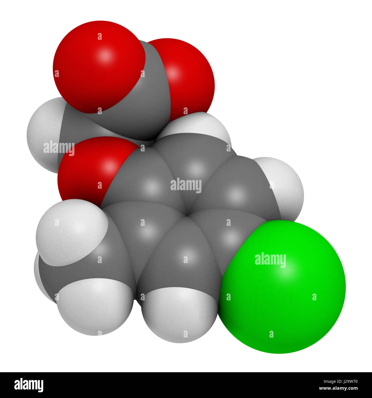 MCPA (2-methyl-4-chlorophenoxyacetic acid) herbicide molecule. 3D ...