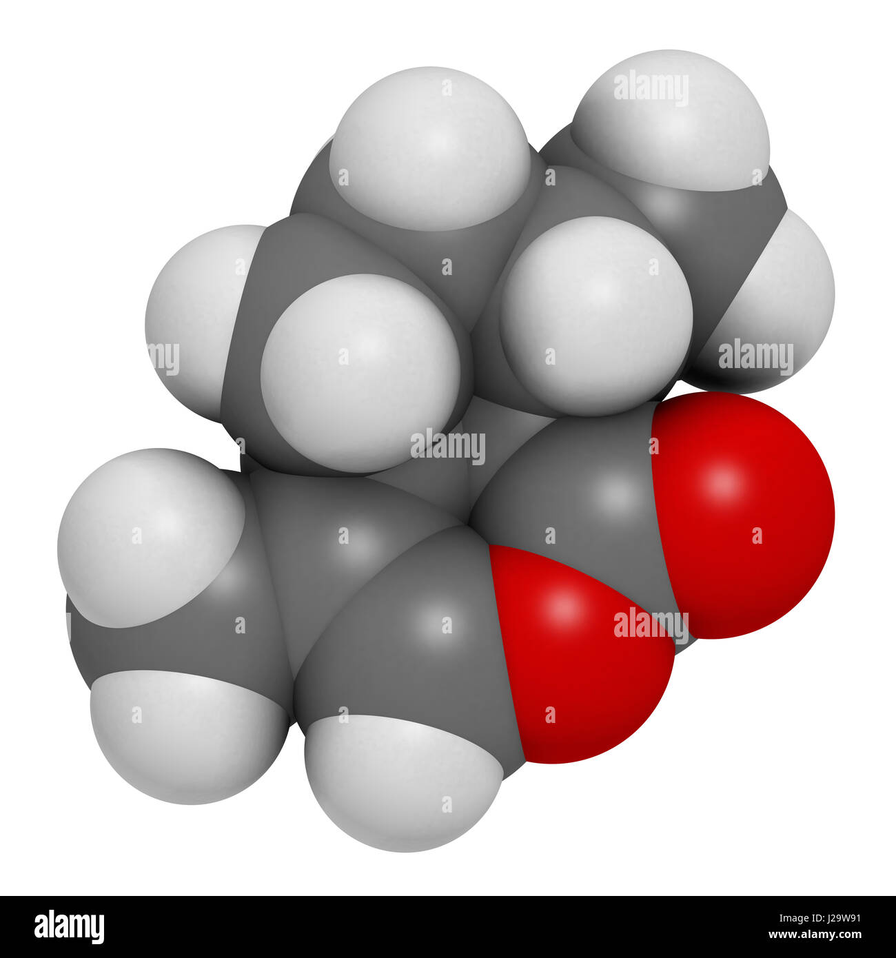 Nepetalactone catnip cat attractant molecule. 3D rendering. Atoms are ...