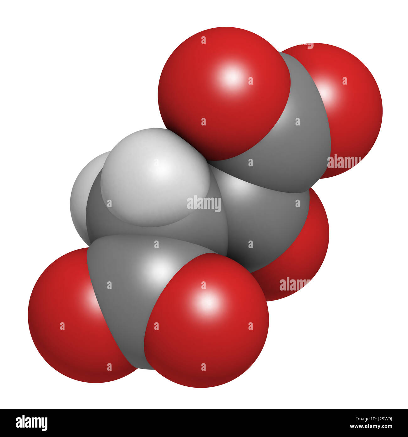 Oxaloacetic Acid Oxaloacetate Metabolic Intermediate Molecule 3d