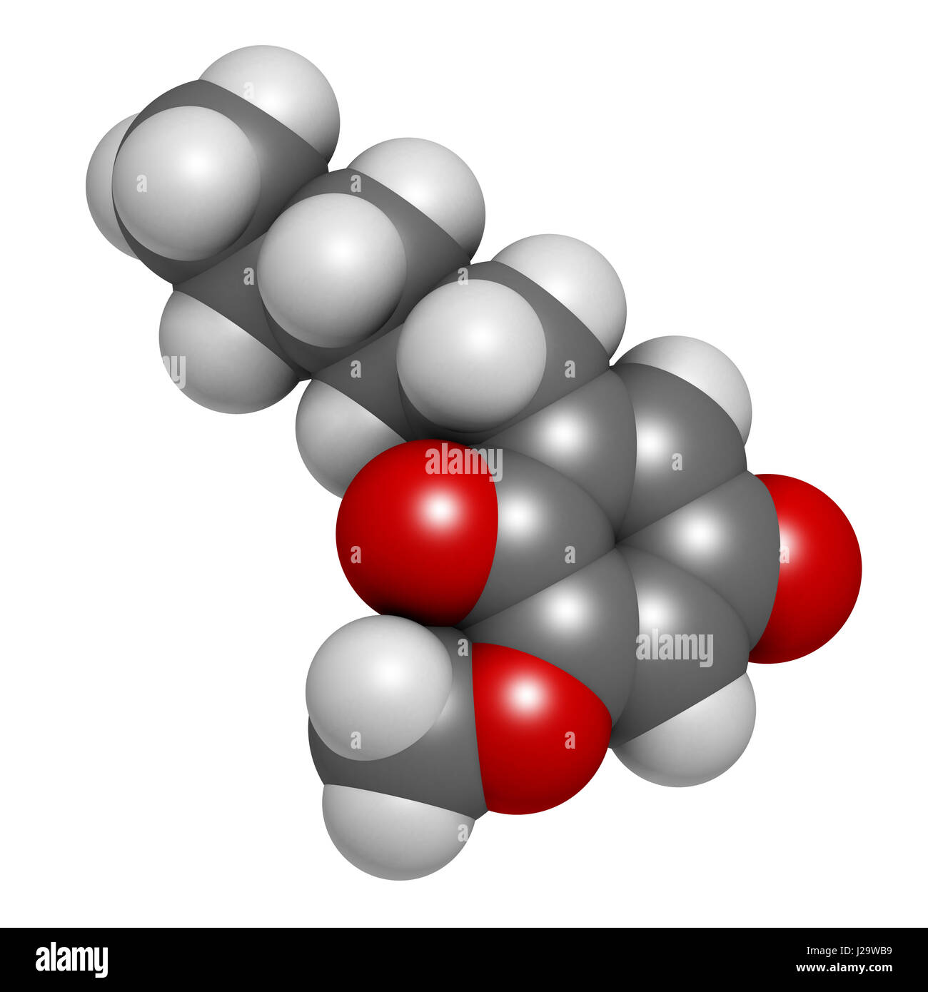 Primin primrose plant allergen molecule. 3D rendering. Atoms are ...