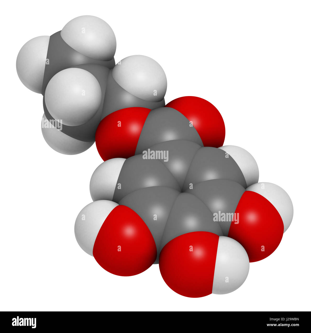 Propyl gallate antioxidant food additive molecule. 3D rendering. Atoms ...