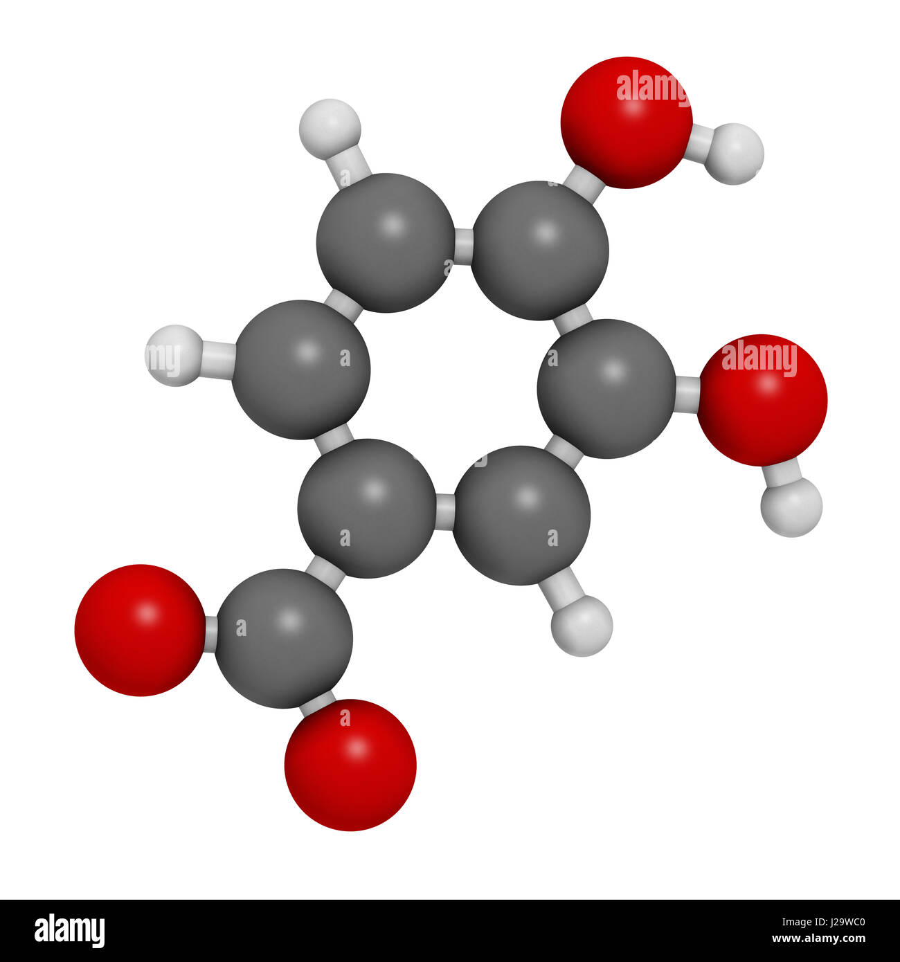 Protocatechuic acid (PCA) green tea antioxidant molecule. 3D rendering ...