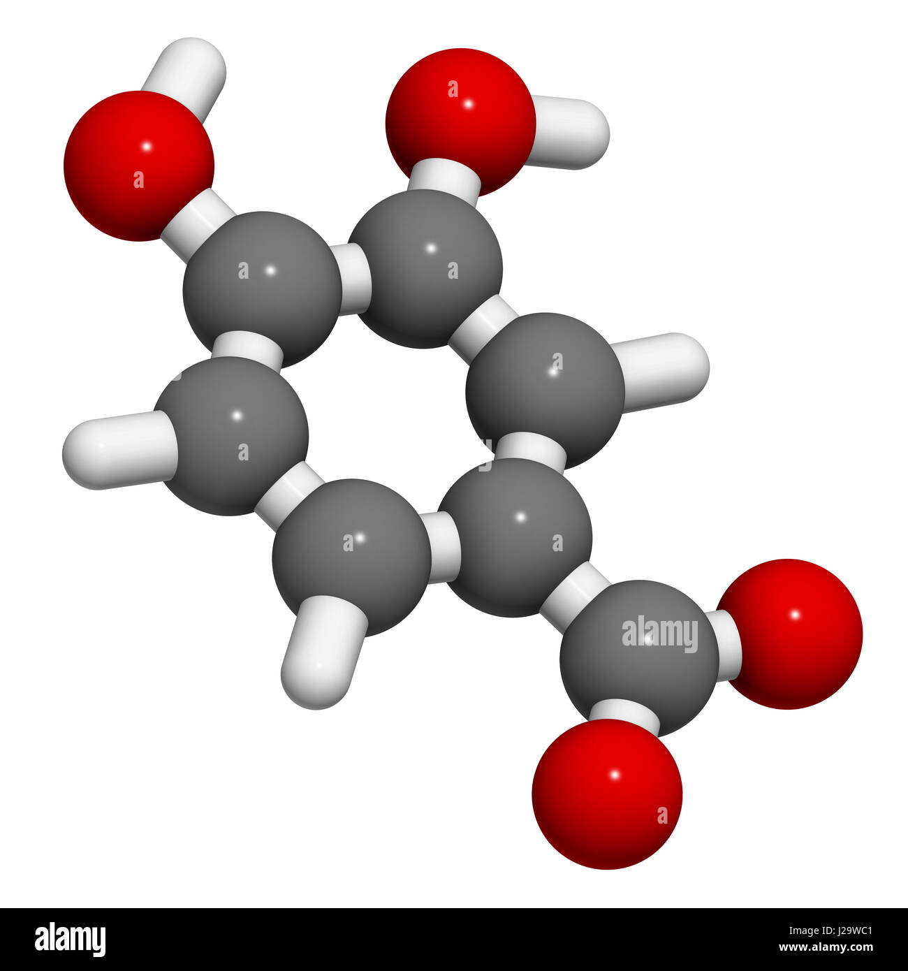 Protocatechuic acid (PCA) green tea antioxidant molecule. 3D rendering ...