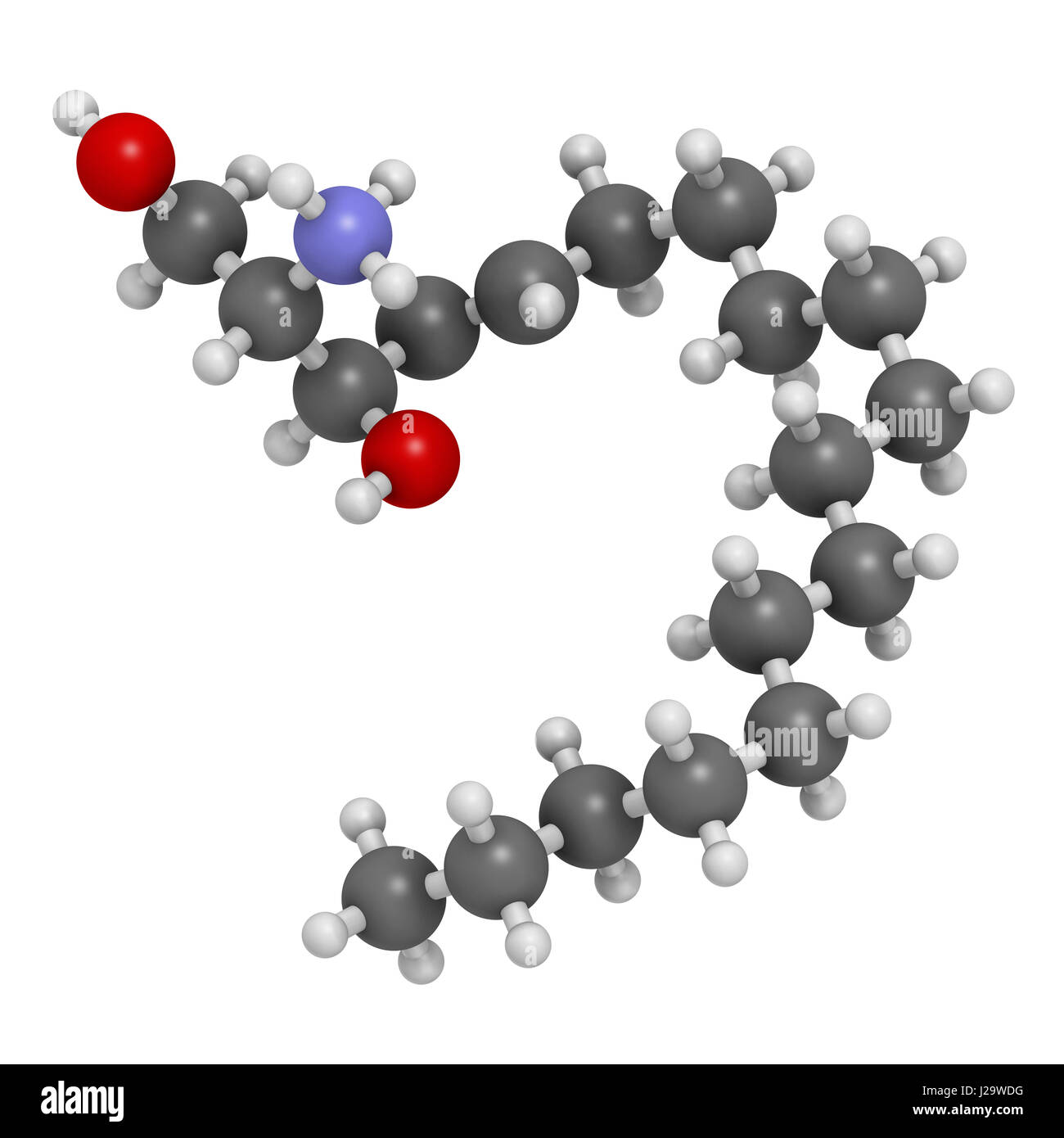 Lipid Molecule Model