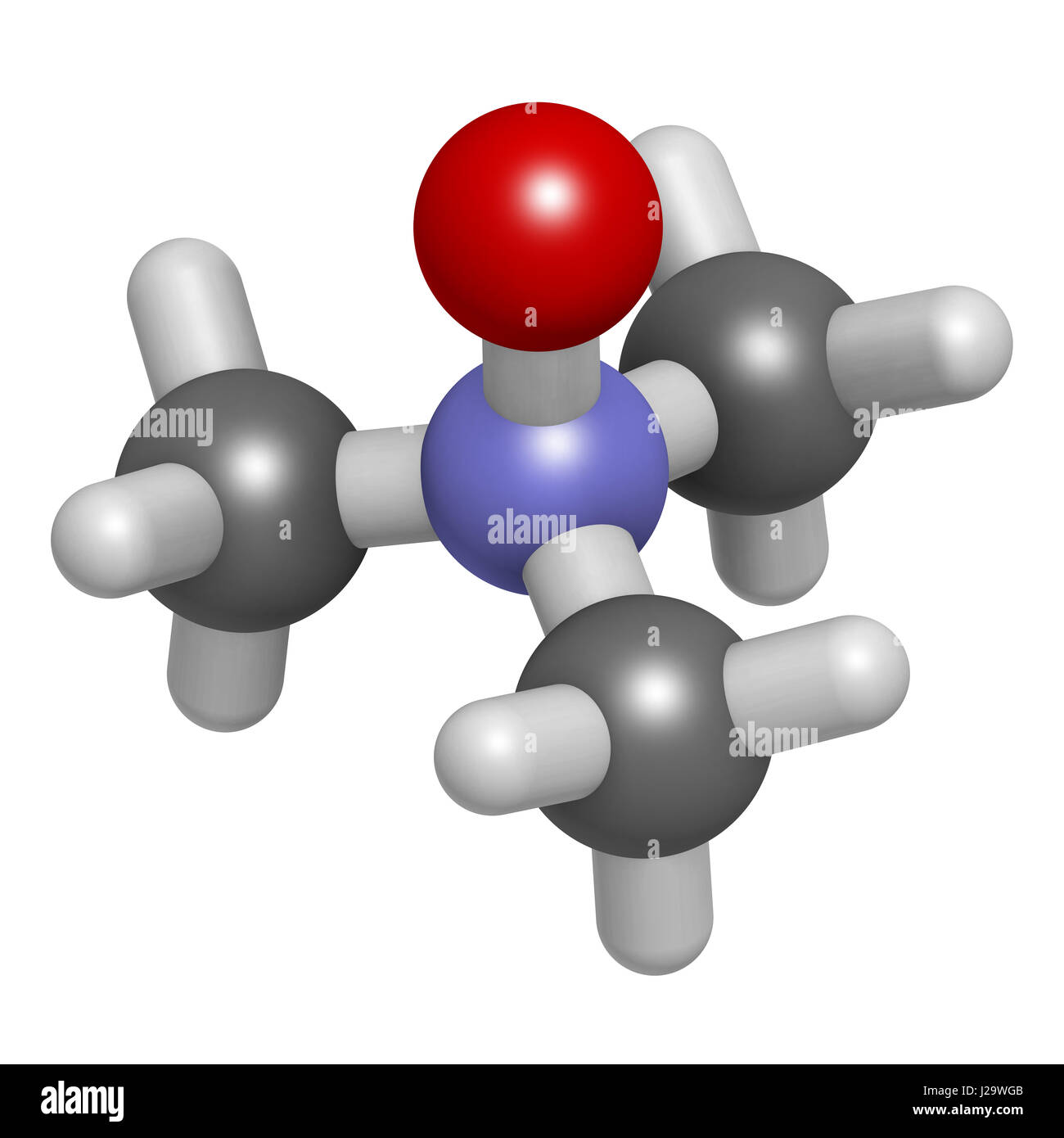 Trimethylamine N-oxide (TMAO) molecule. 3D rendering. Atoms are ...