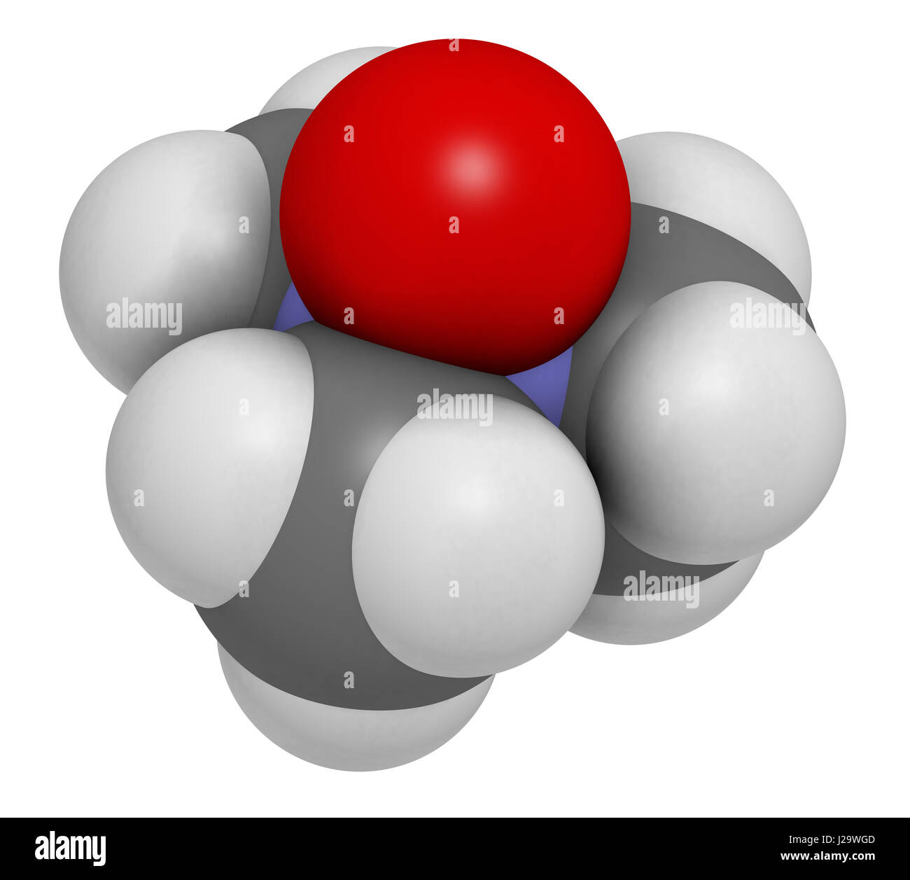 Trimethylamine N-oxide (TMAO) molecule. 3D rendering. Atoms are ...