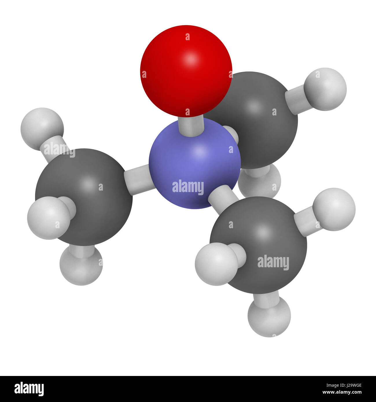Trimethylamine N-oxide (TMAO) molecule. 3D rendering. Atoms are ...