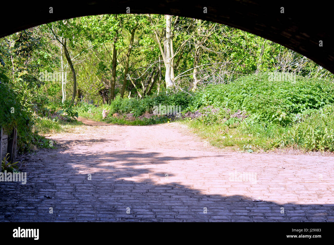View from under the bridge Stock Photo - Alamy