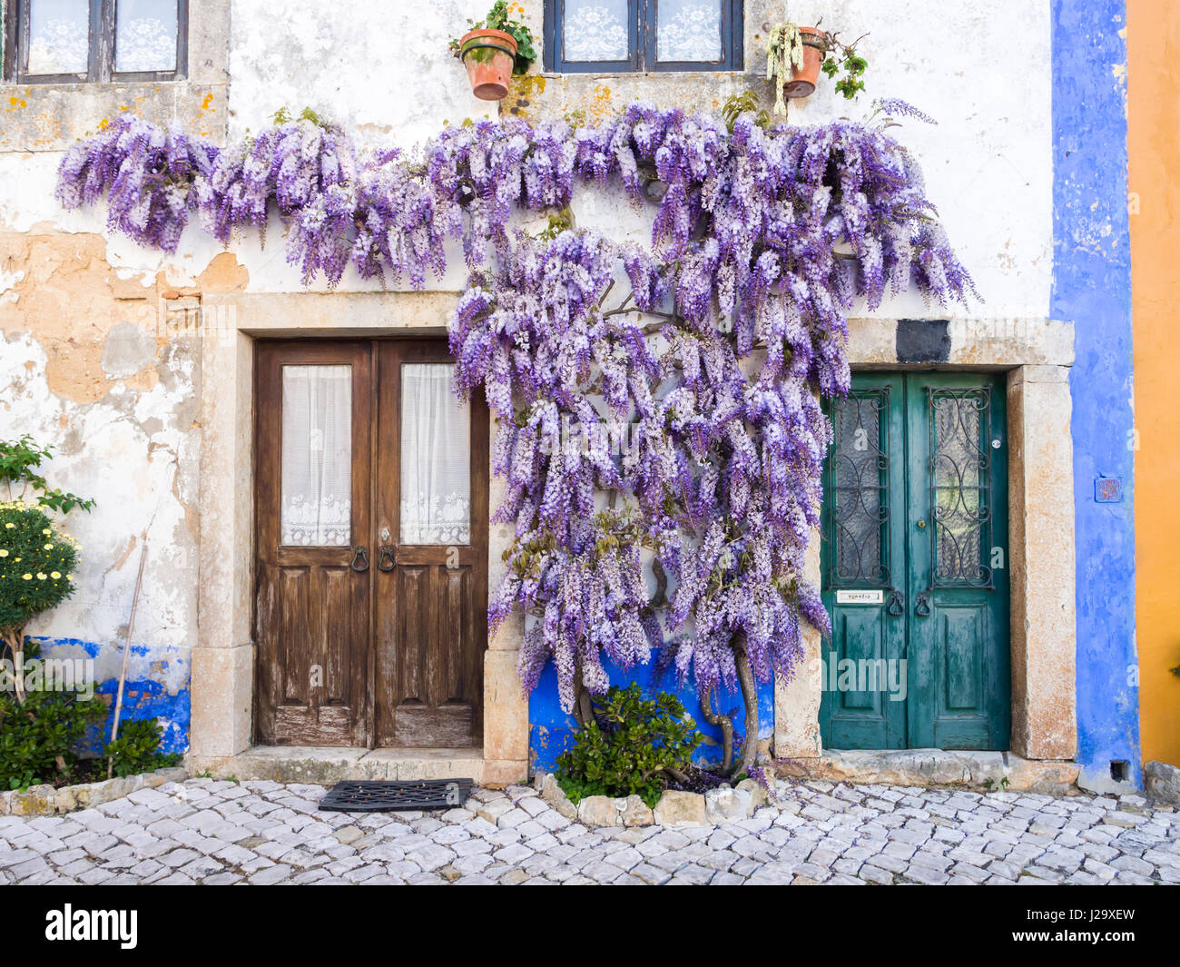 Wisteria vine door hi-res stock photography and images - Alamy
