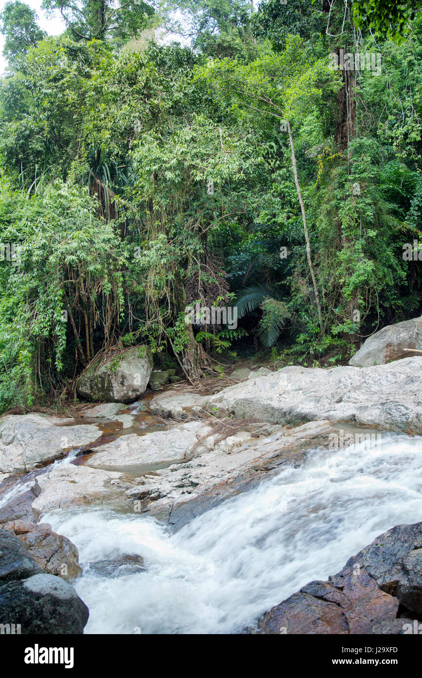 Hin Lad waterfalls in Ko Samui, Thailand Stock Photo - Alamy