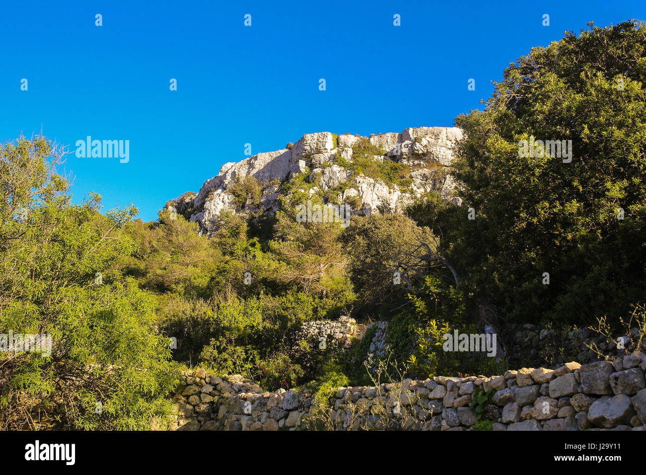 Buskett gardens hi-res stock photography and images - Alamy