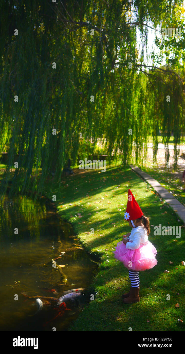 Dwarf willow tree hi-res stock photography and images - Alamy