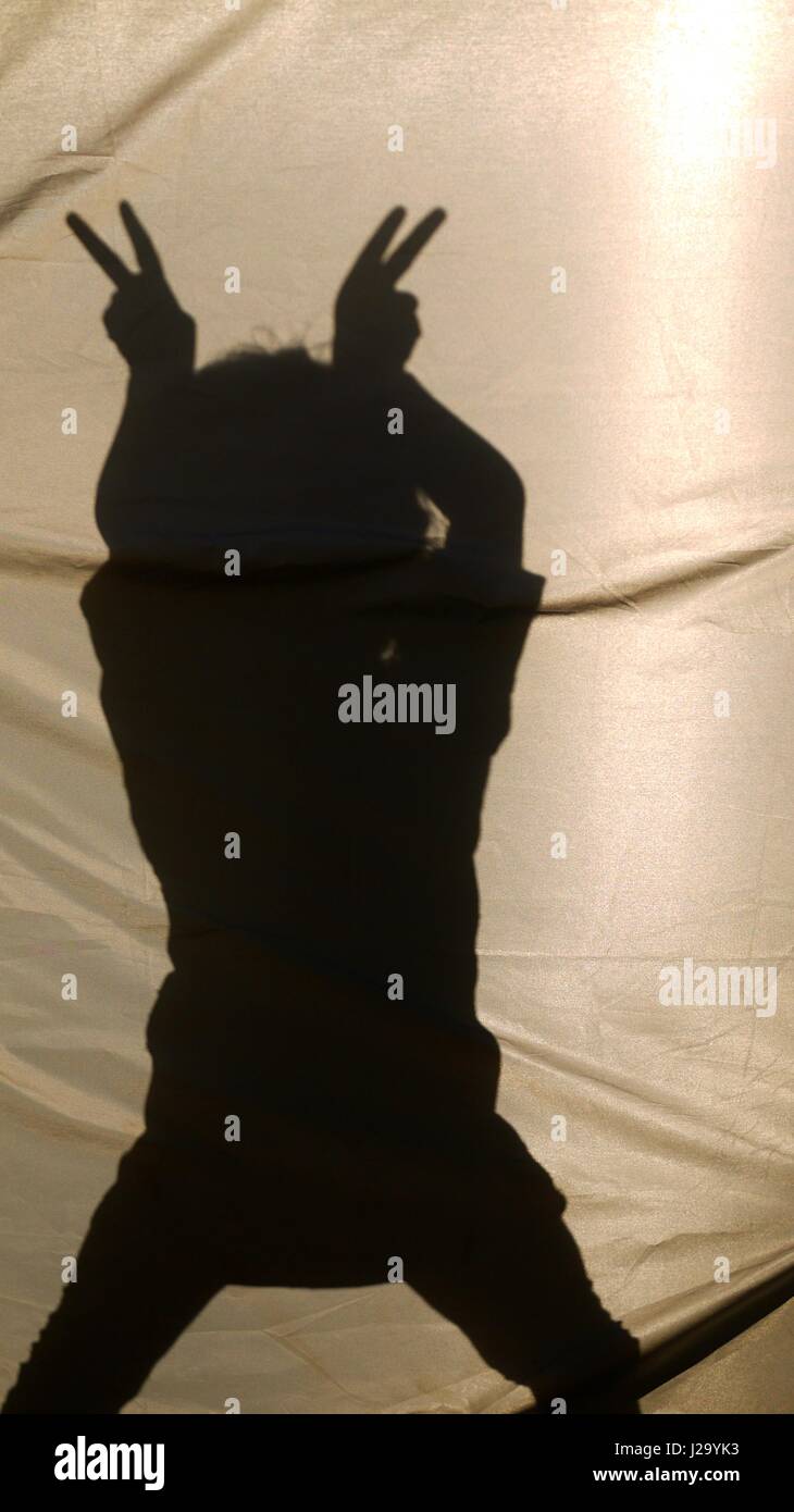 Black rabbit shadow hi-res stock photography and images - Alamy