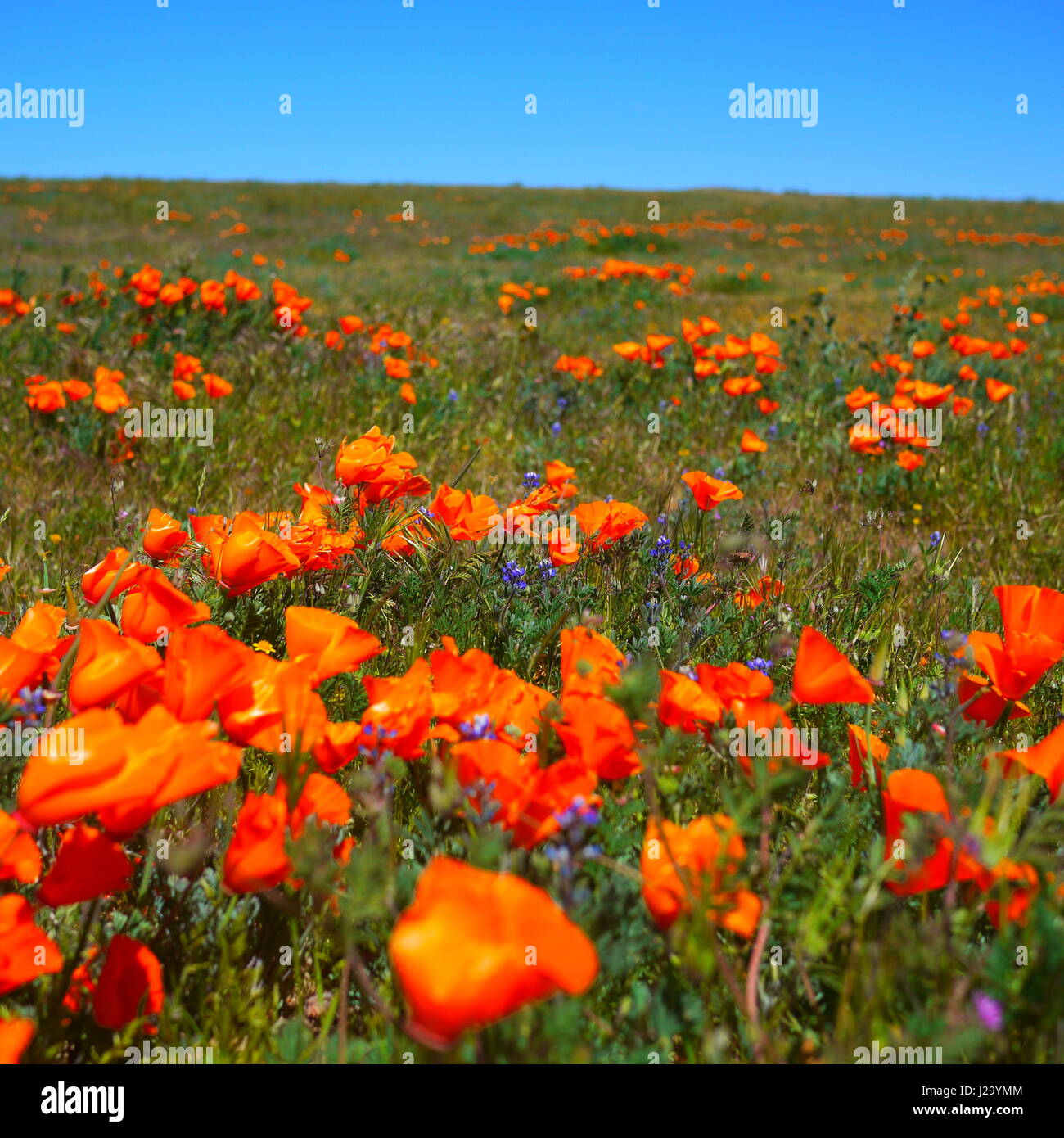 No pelple hi-res stock photography and images - Alamy