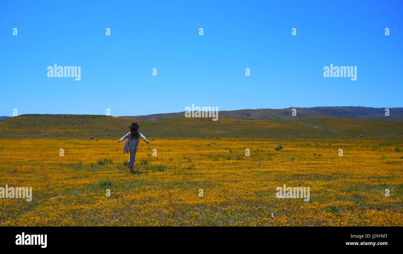 Girl standing in flower field hi-res stock photography and images - Alamy
