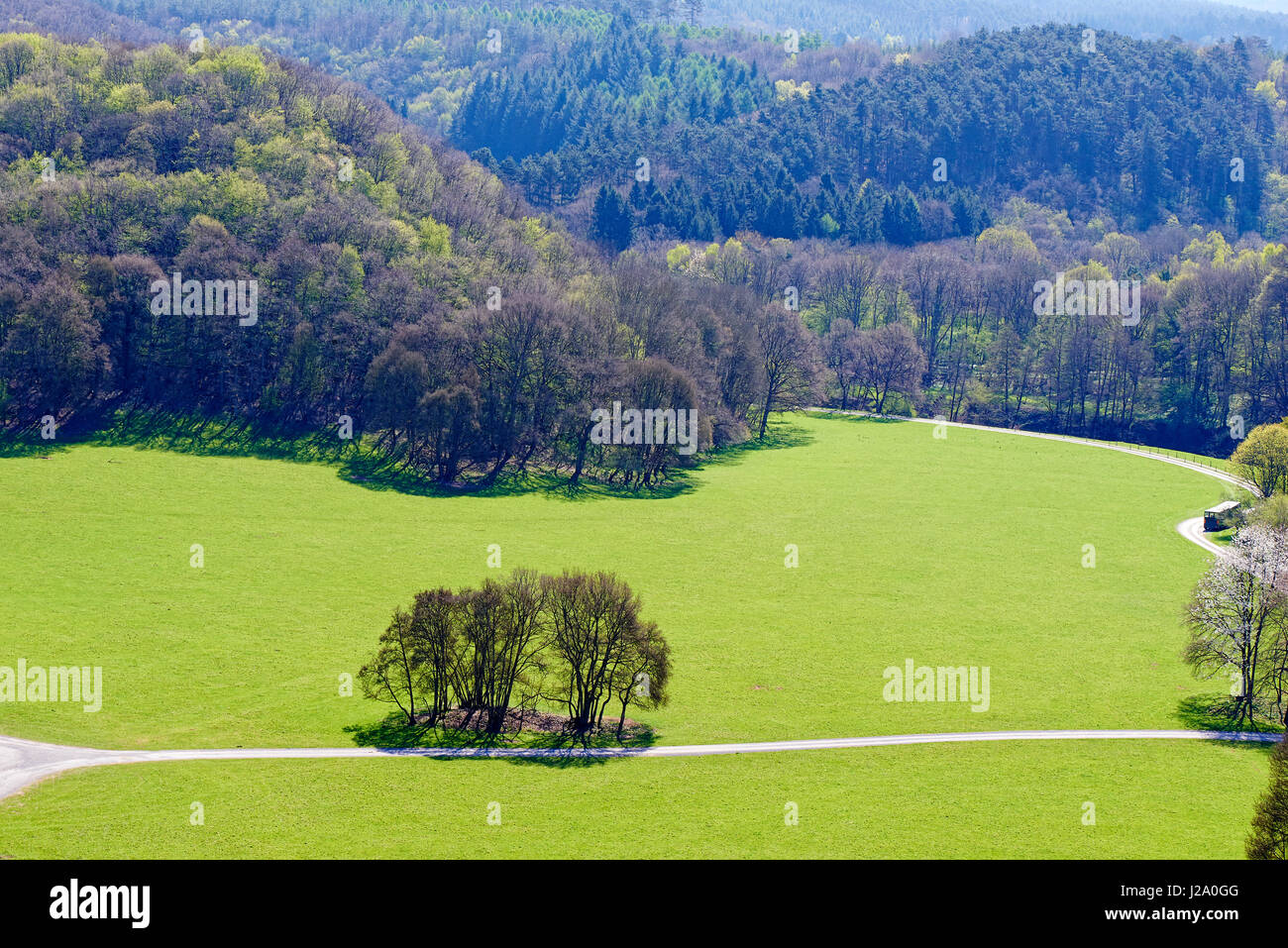 Grass plain hi-res stock photography and images - Alamy