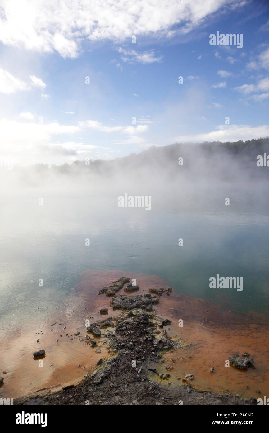 geothermal activity near Rotorua, New Zealand Stock Photo - Alamy