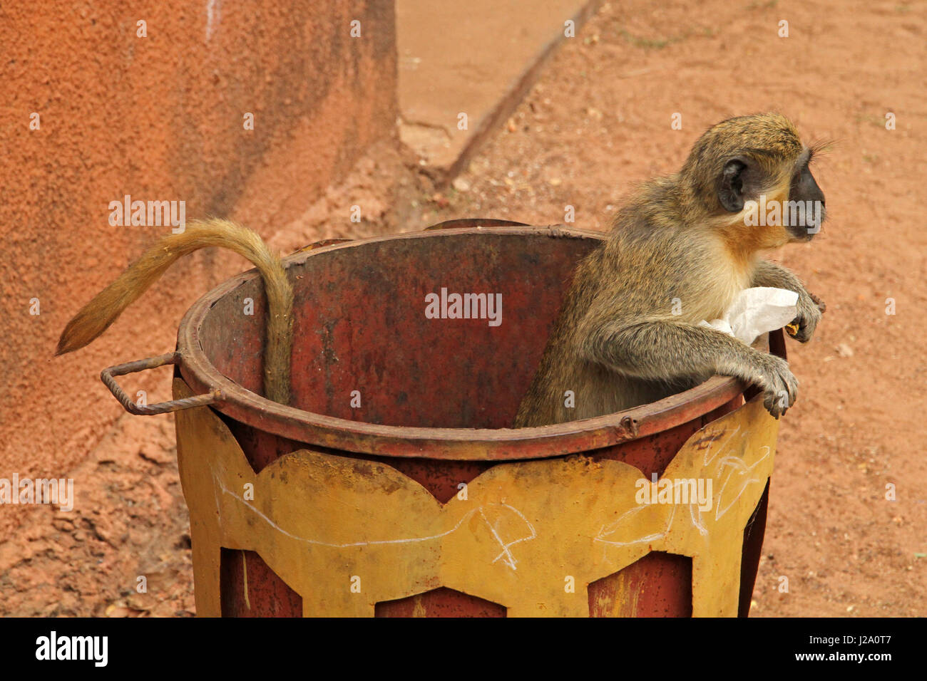 Funny Dustbin High Resolution Stock Photography and Images - Alamy