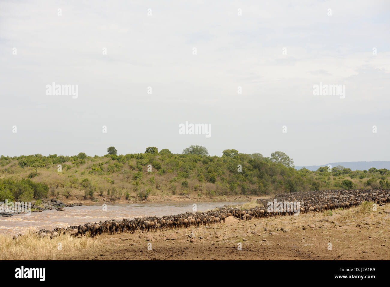 Mara cross hi-res stock photography and images - Alamy