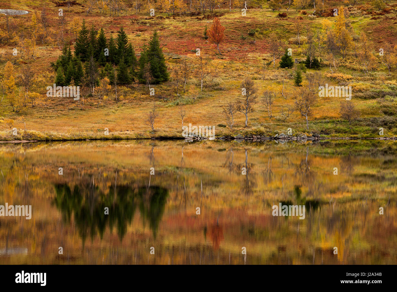 reflection of autumn landscape in water Stock Photo - Alamy