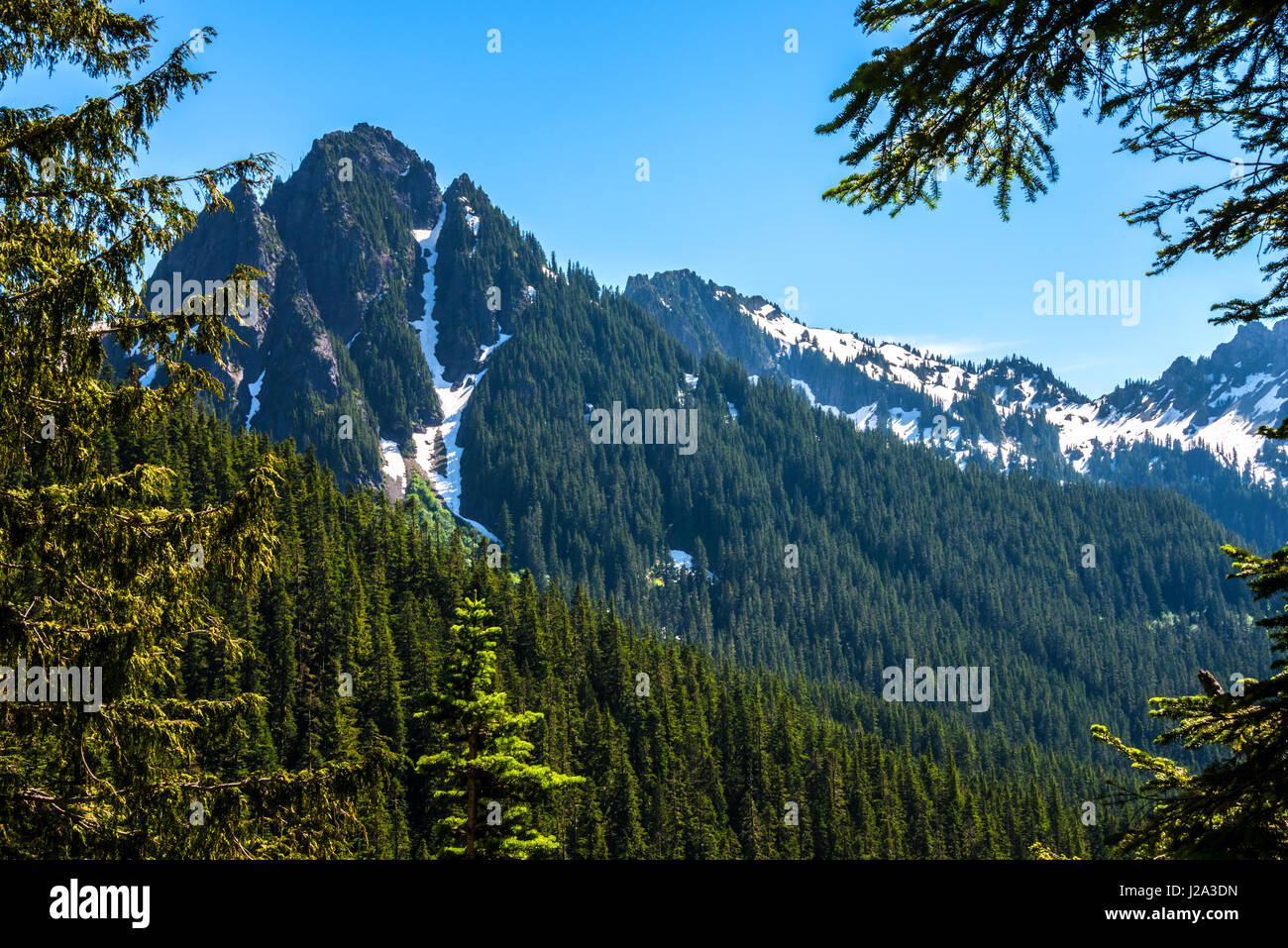 Peak mt rainier in hi-res stock photography and images - Alamy