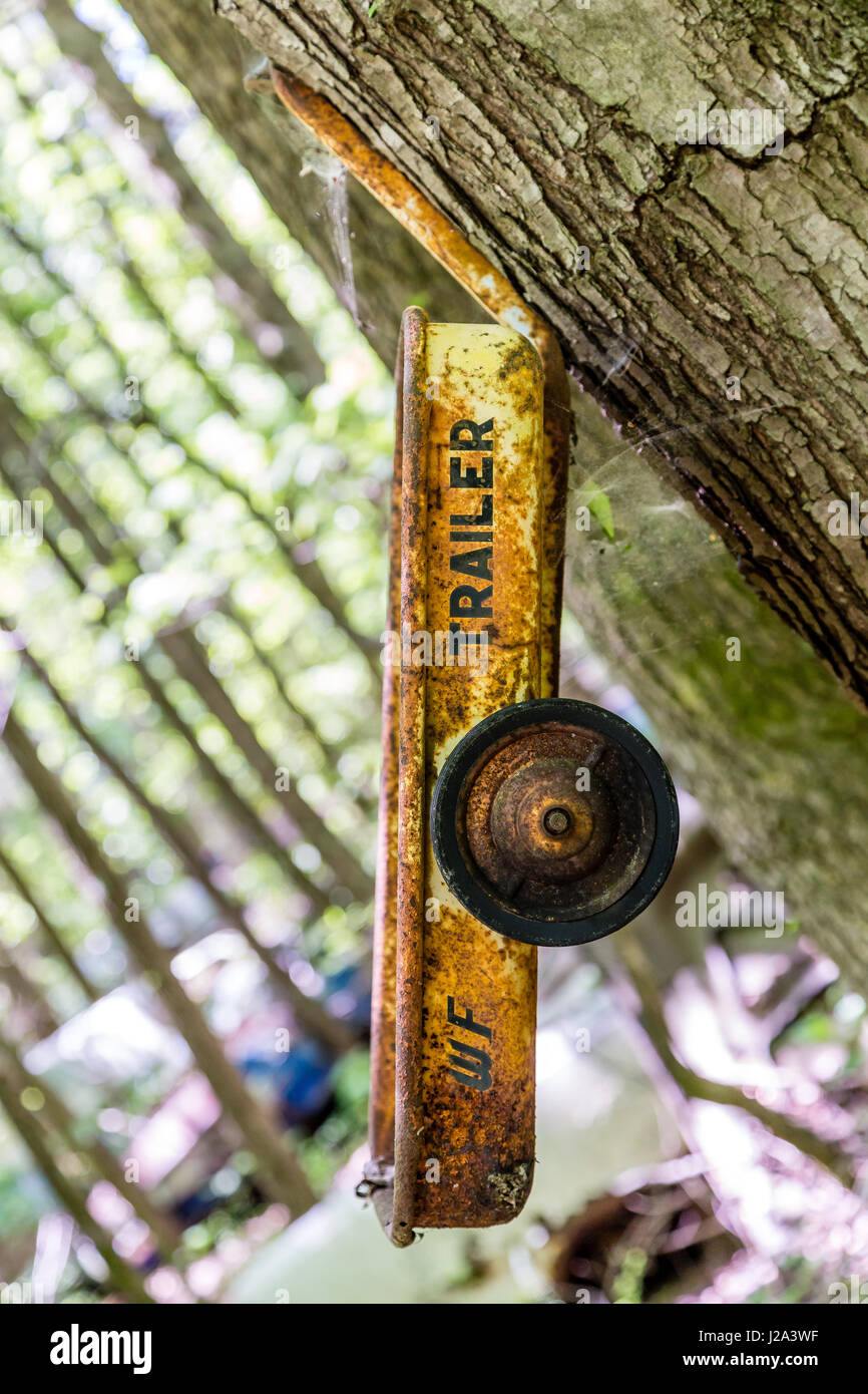 Old Wagon in Tree Stock Photo - Alamy