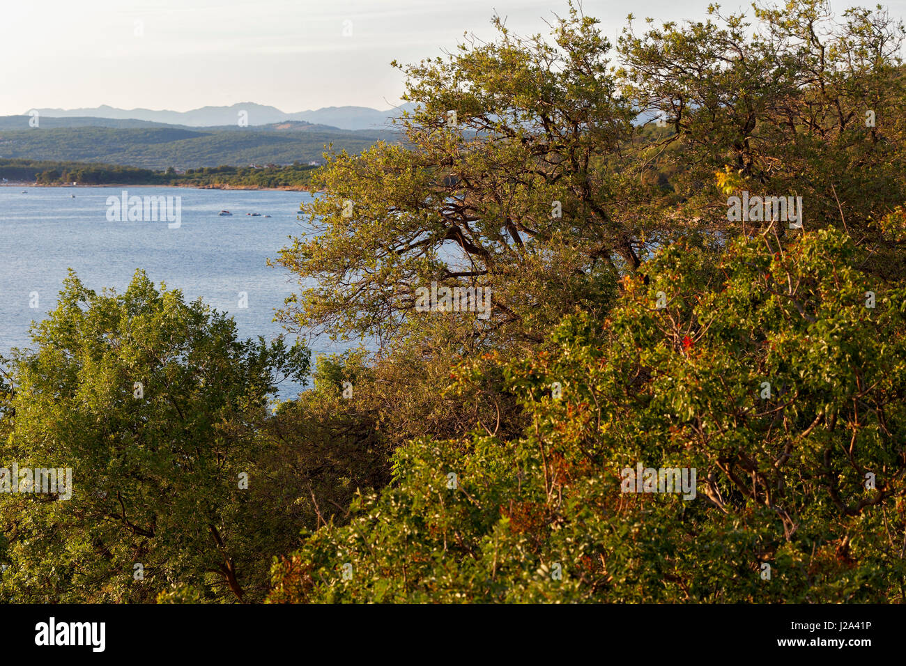 Forested limestone karst hi-res stock photography and images - Alamy