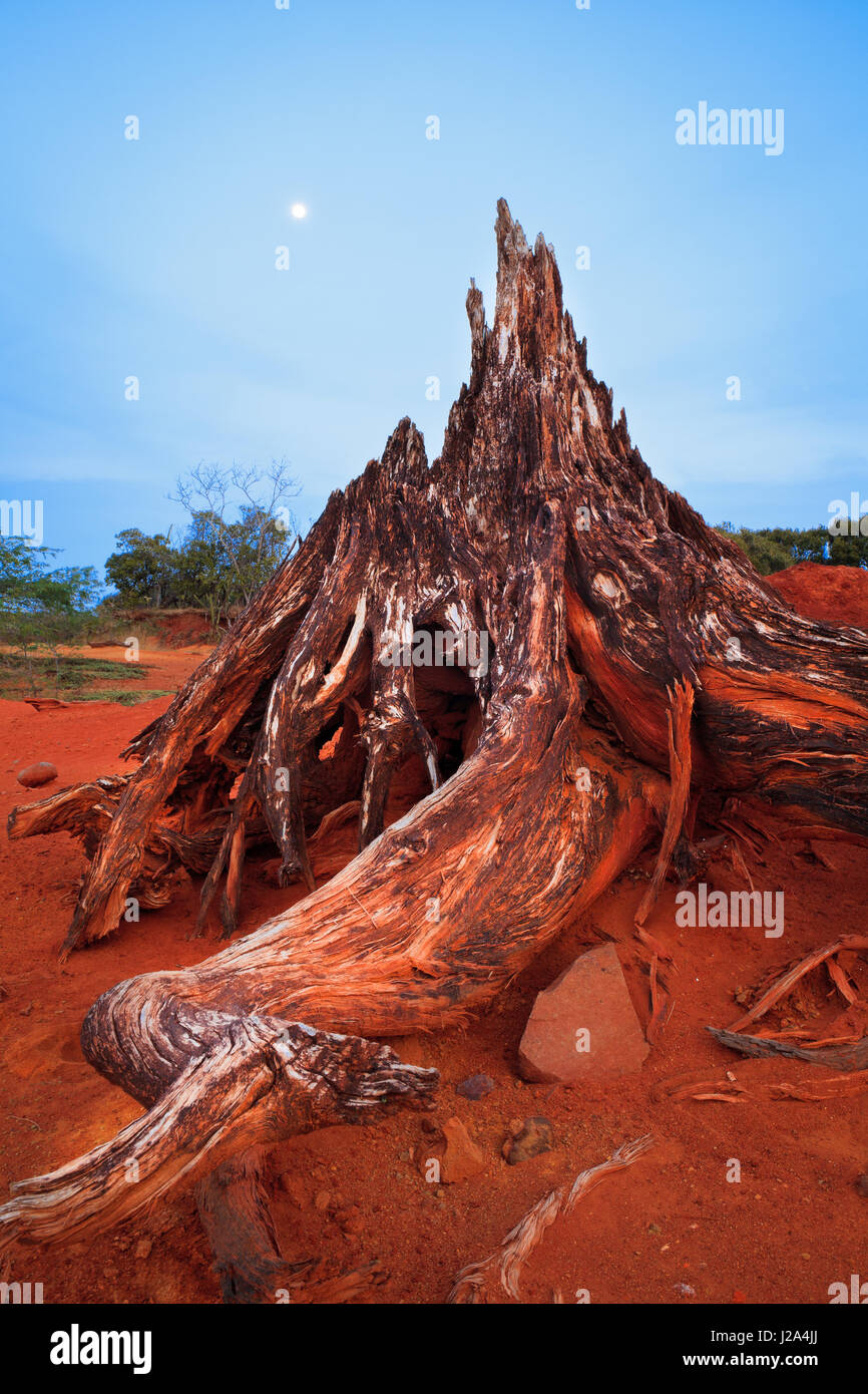 Parque nacional sarigua panama hi-res stock photography and images - Alamy