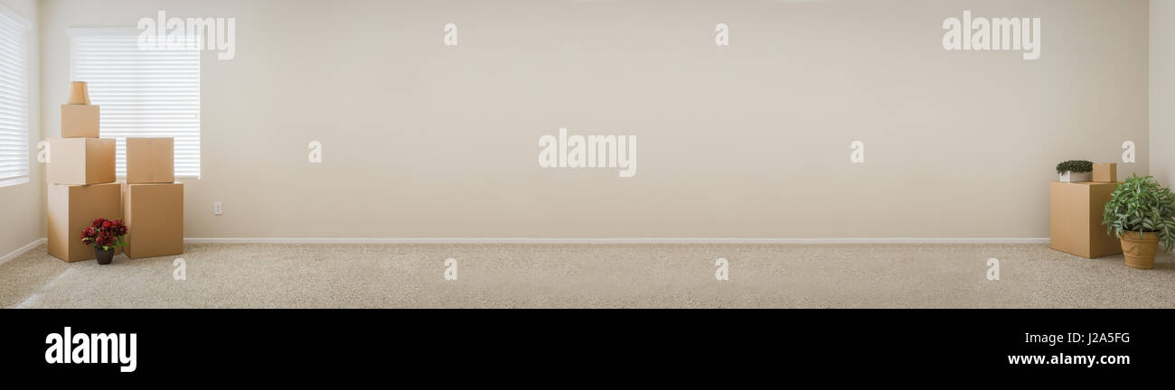 Banner of Empty Room with Blank Wall, Boxes and Plants Stock Photo - Alamy