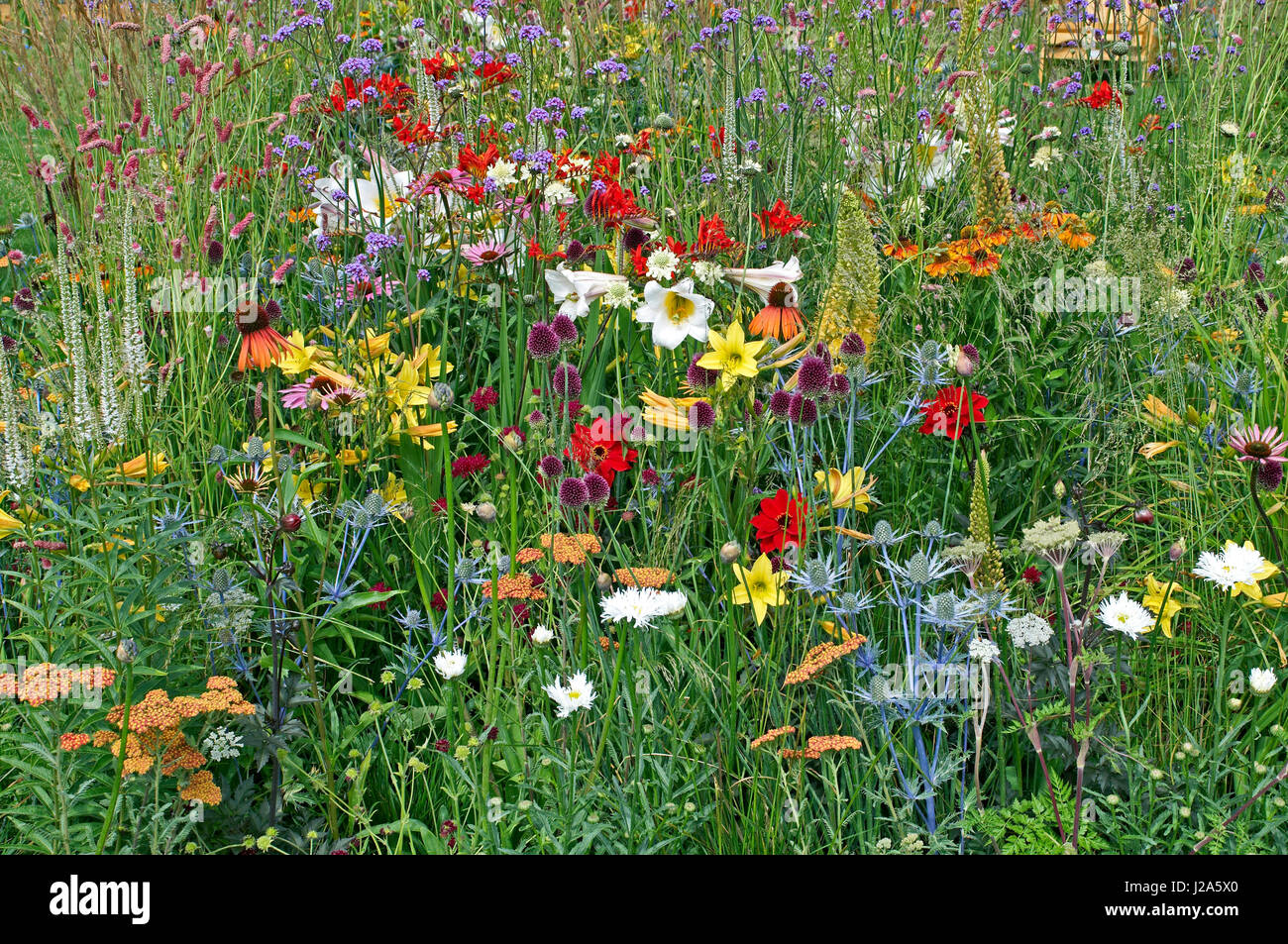 Flower nurture hi-res stock photography and images - Alamy