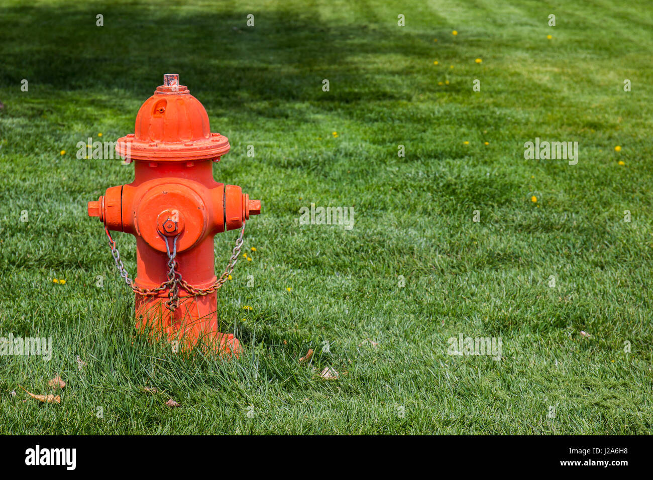 Bright Orange Fire Hydrant In Grass Stock Photo - Alamy
