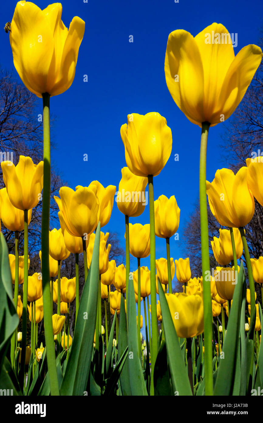 Blue yellow red sky hi-res stock photography and images - Alamy